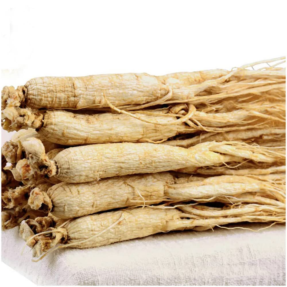 premium wild ginseng roots for wellness