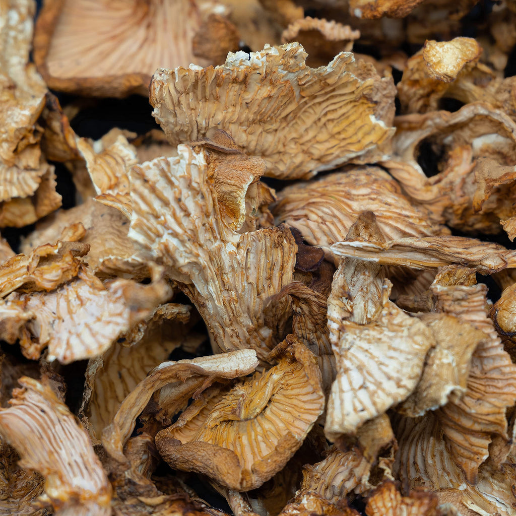 premium wild mushrooms for culinary use