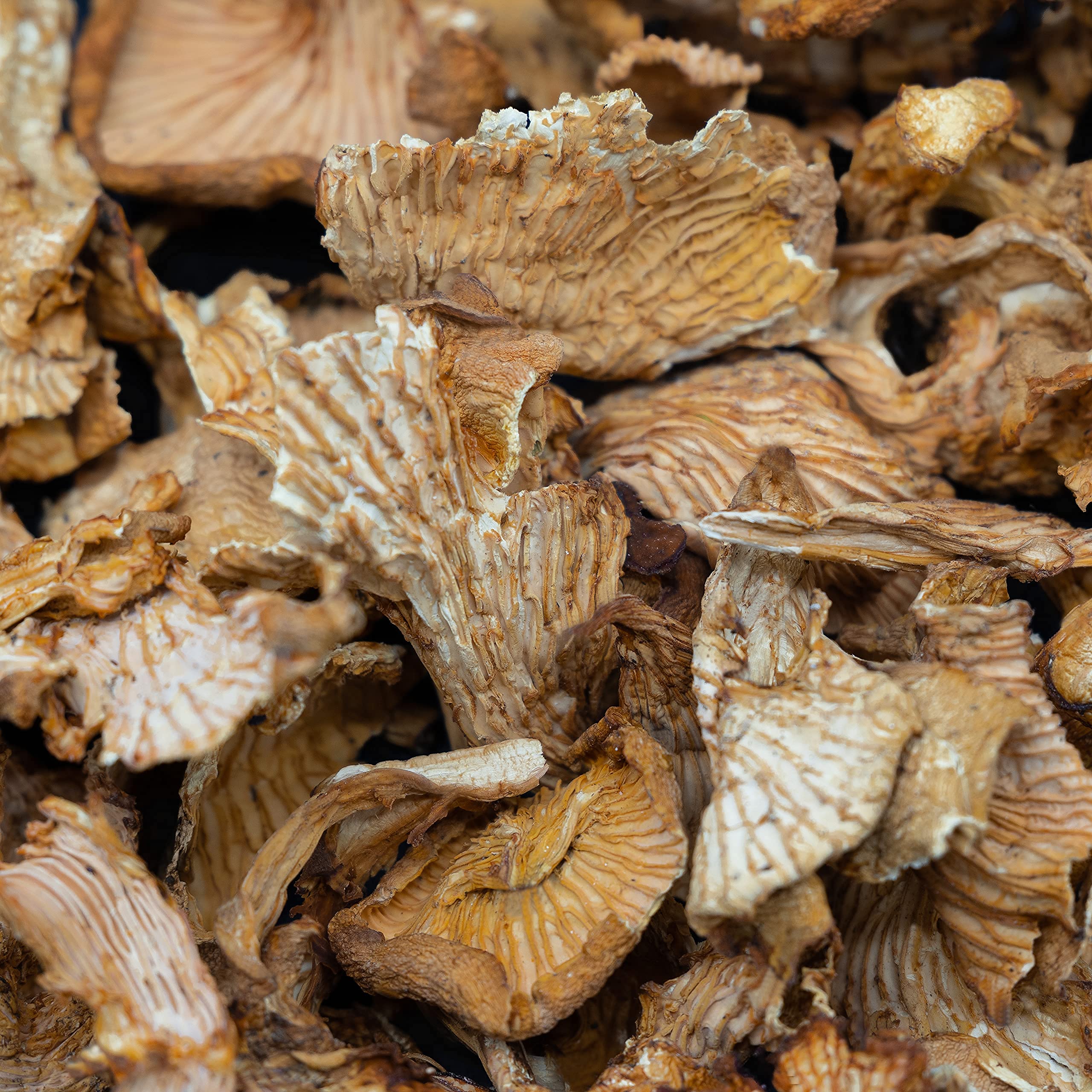 premium wild mushrooms for culinary use