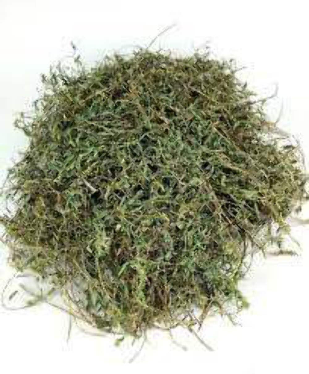 premium wildcrafted herbal tea