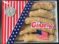 premium Wisconsin ginseng long roots
