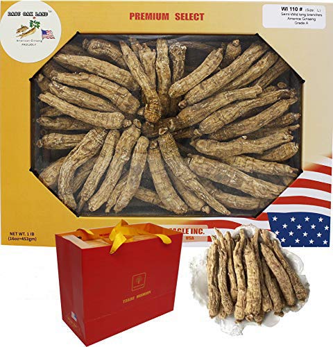 premium Wisconsin ginseng root