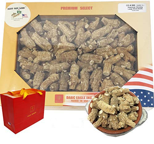premium Wisconsin ginseng root