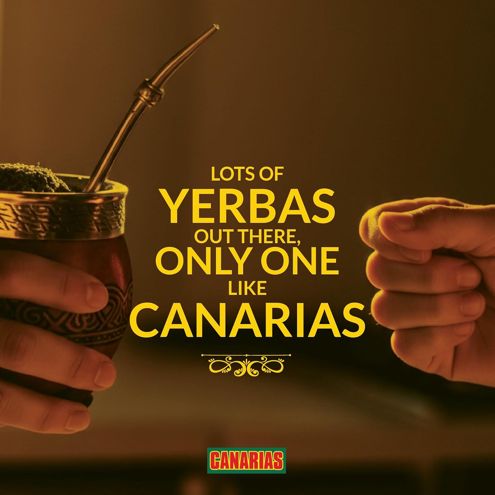 premium yerba mate for tea lovers
