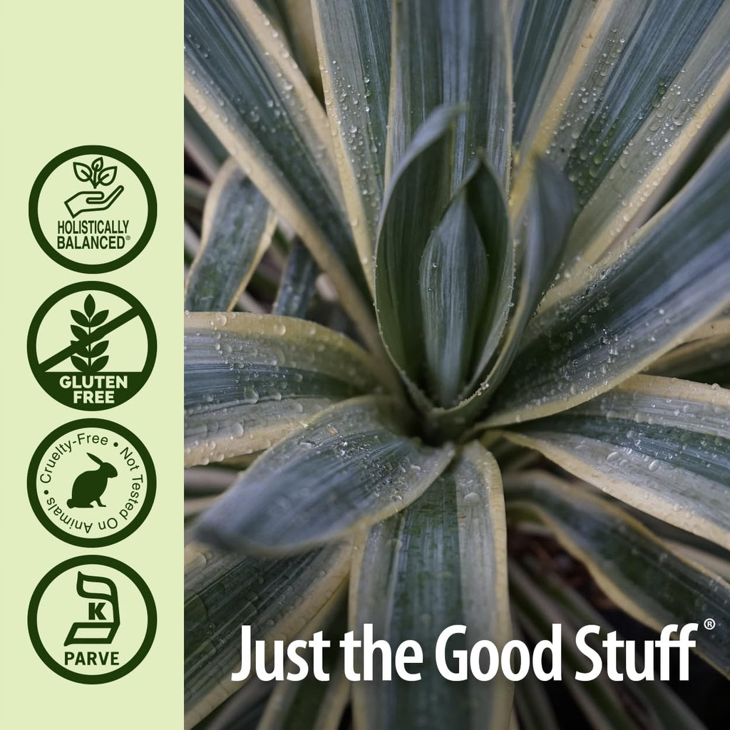 premium yucca root for vitality