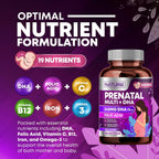 prenatal DHA for fetal brain development