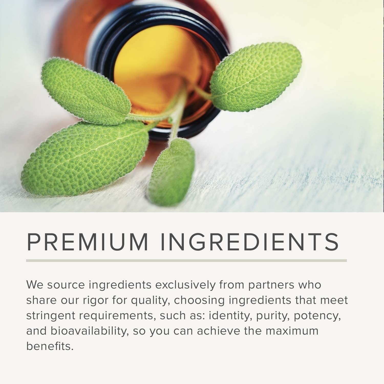 prenatal vitamins for women's wellness