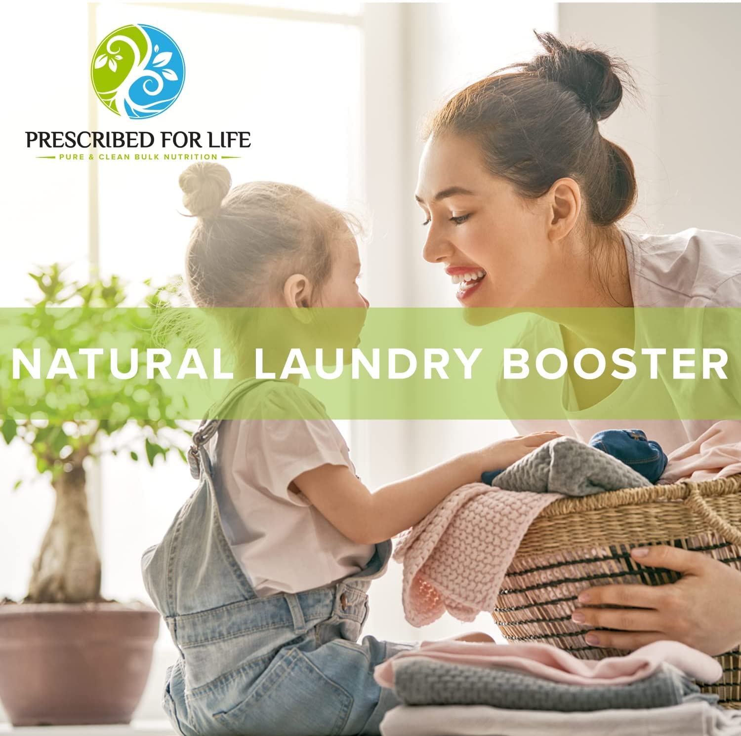prescribed borax powder for laundry
