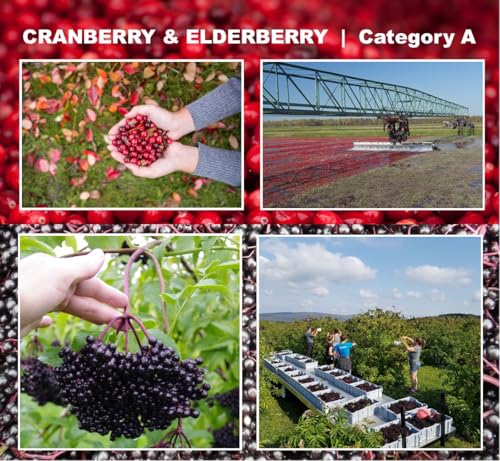 prevent bladder infections with cranberry