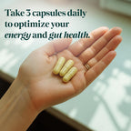 Previtalean prebiotic support for immunity