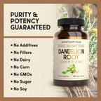 Primal Health dandelion root benefits