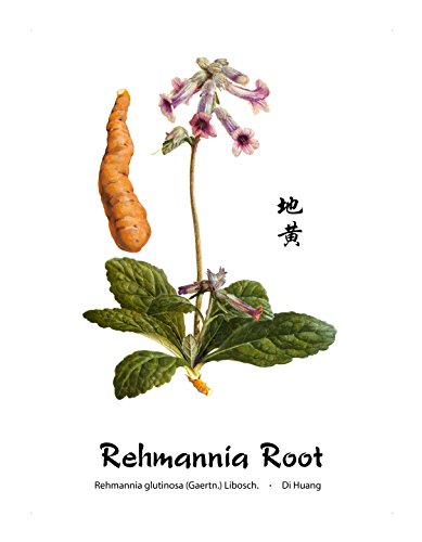 primal yin replenisher for balance