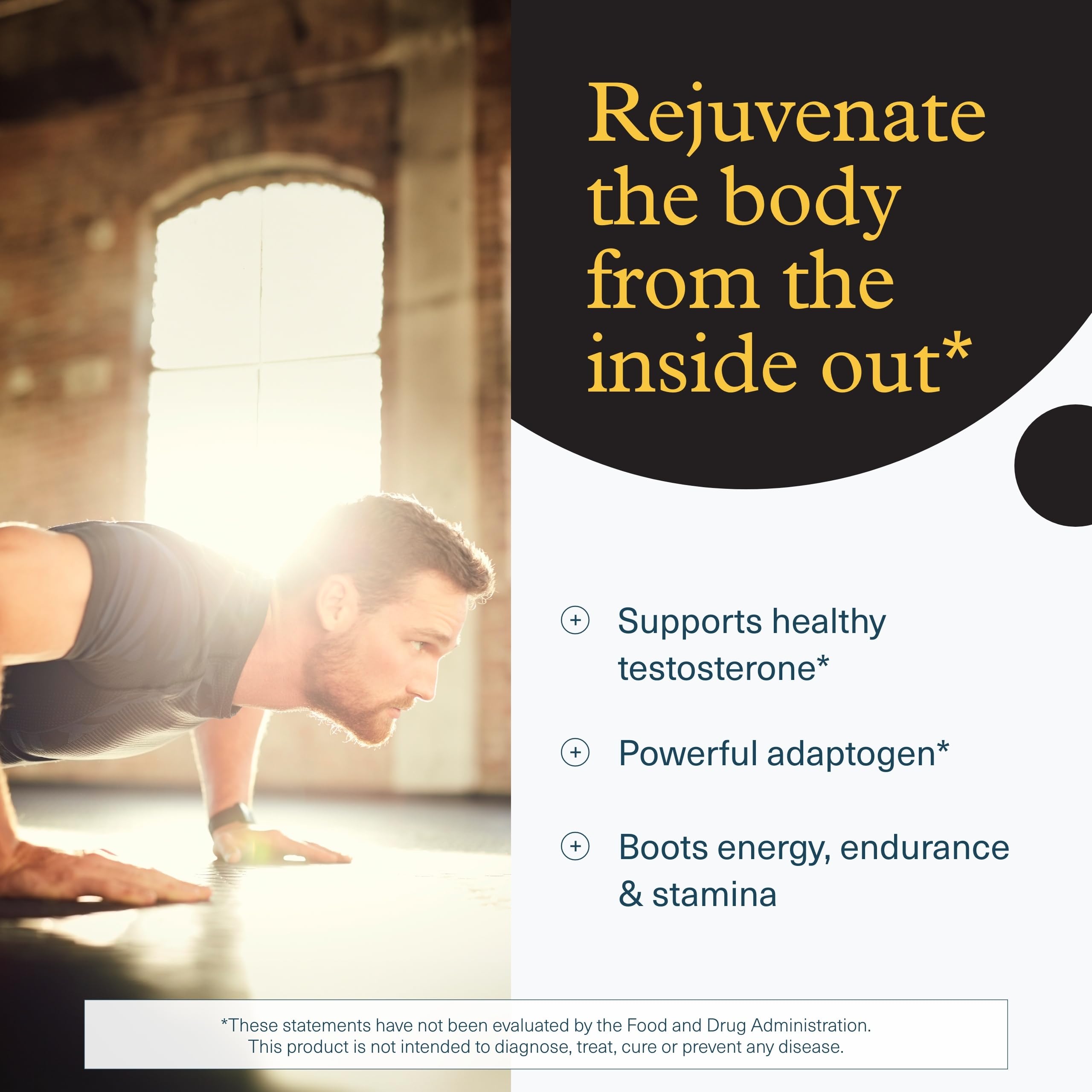 PrimaVie extract for optimal magnesium absorption
