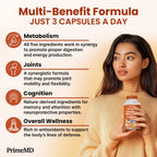PrimeMD Ceylon cinnamon for healthy metabolism