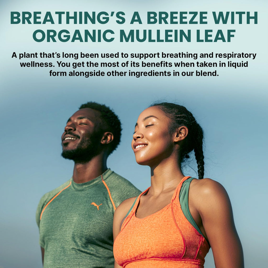 PrimeMD Mullein Drops for easy breathing