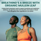 PrimeMD Mullein Drops for easy breathing