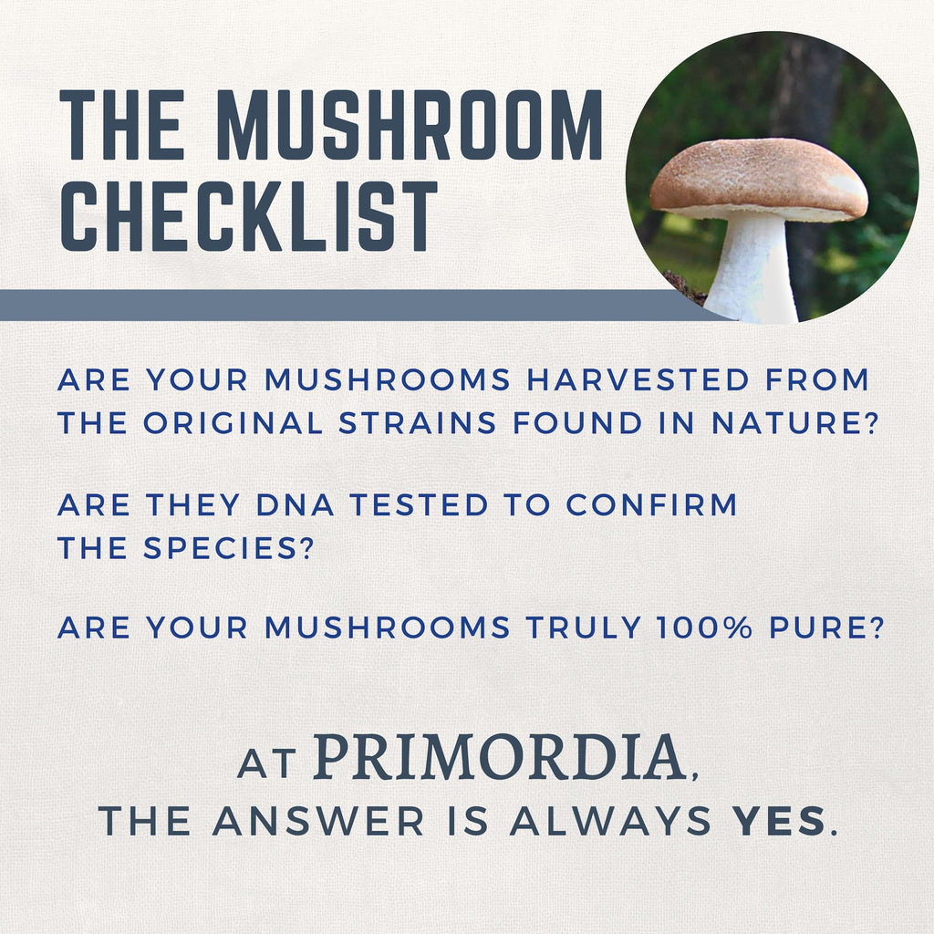 Primordia mushrooms for balanced mood