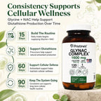 PRISTINE GlyNAC antioxidant blend formula
