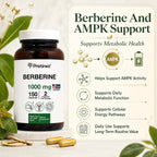 PRISTINE's herbal berberine benefits