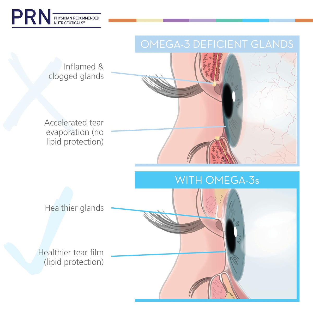 PRN Omega Benefits for daily nutrition