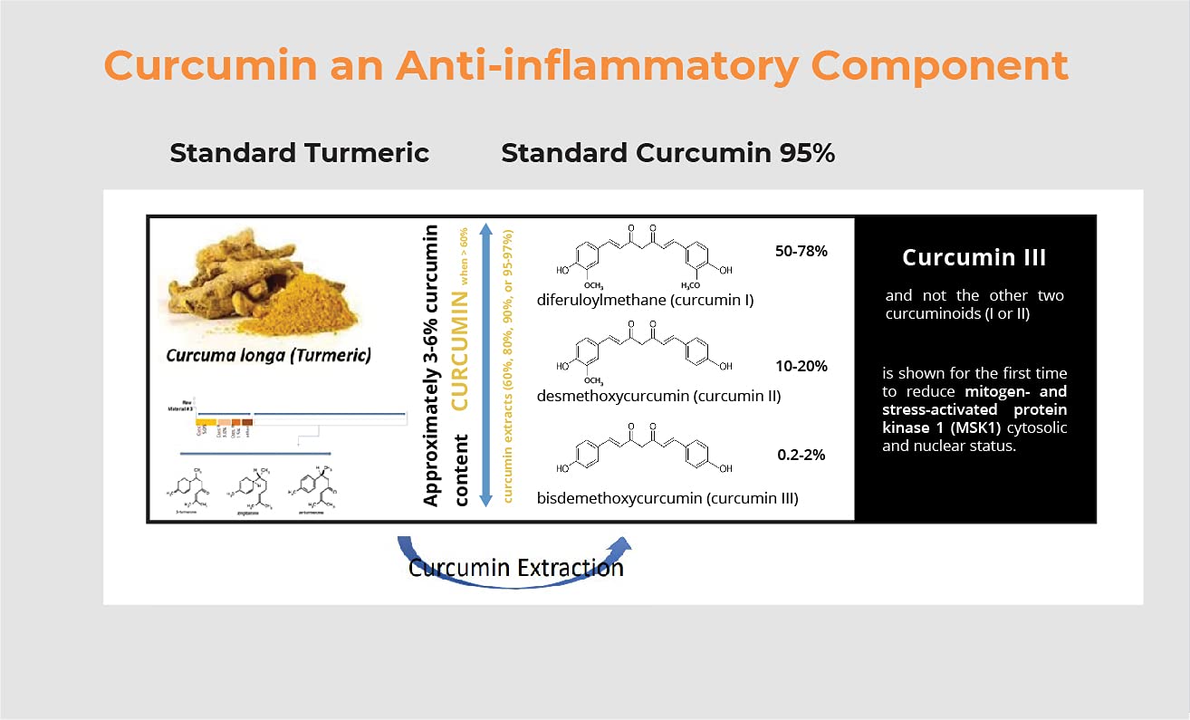 Pro Novo curcumin supplement review