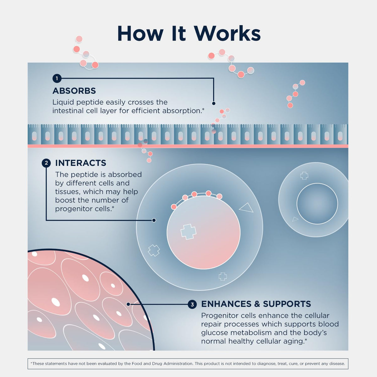 Pro Peptide formula for optimal health