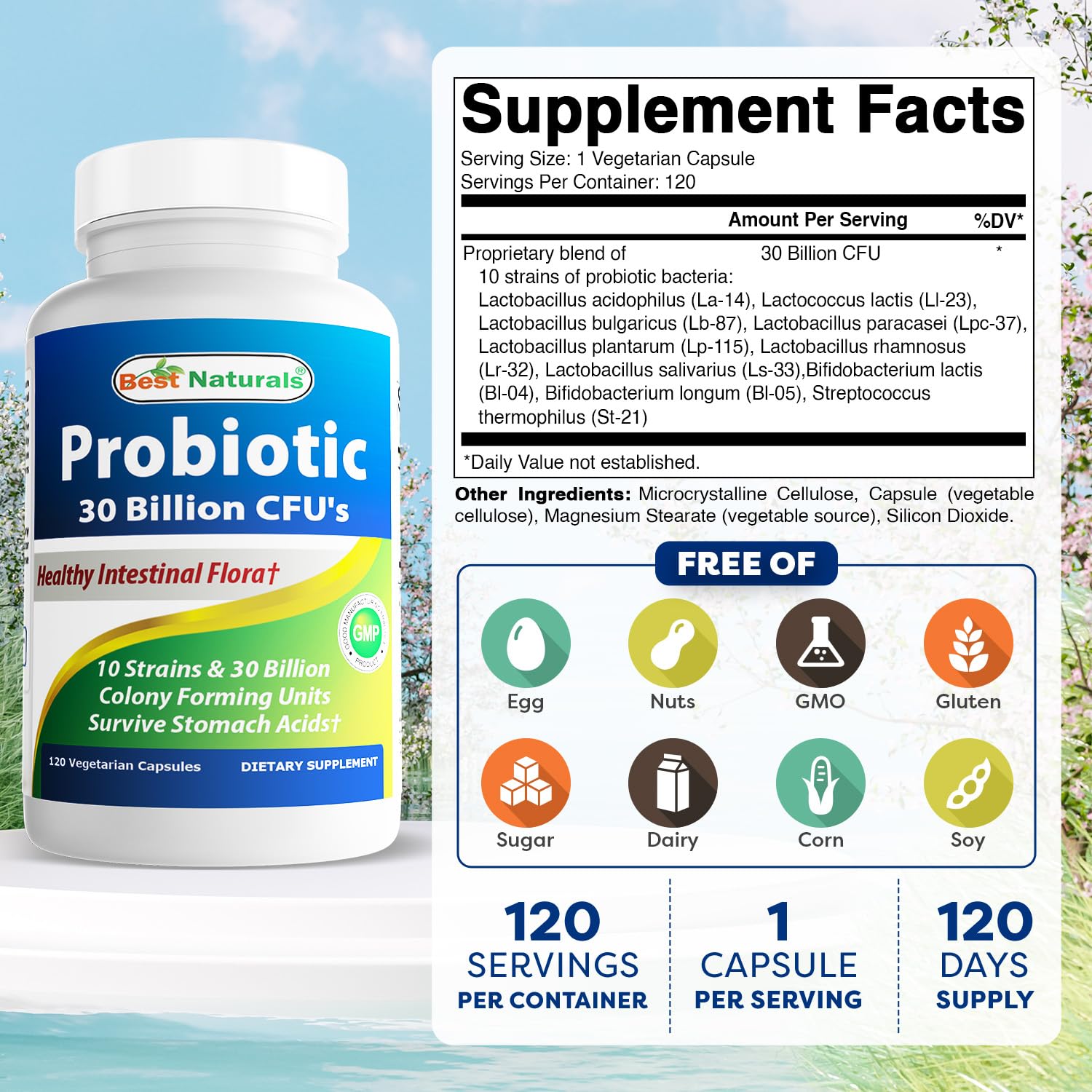 Probiotic 10 strains for digestive balance