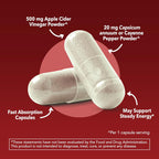 probiotic benefits of apple cider vinegar