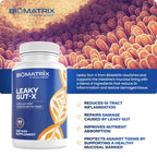 probiotic benefits of digestive enzymes