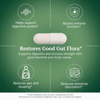 probiotic blend for balanced flora