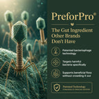 Probiotic blend for balanced microbiome