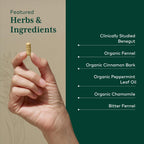 probiotic blend for better digestion
