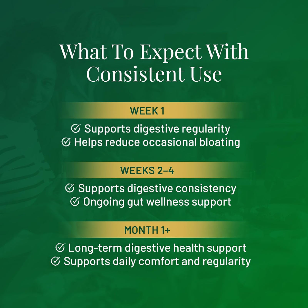 probiotic blend for digestion