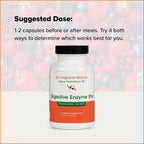 probiotic blend for digestive wellness