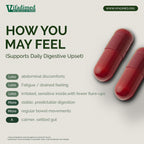 Probiotic blend for gut balance
