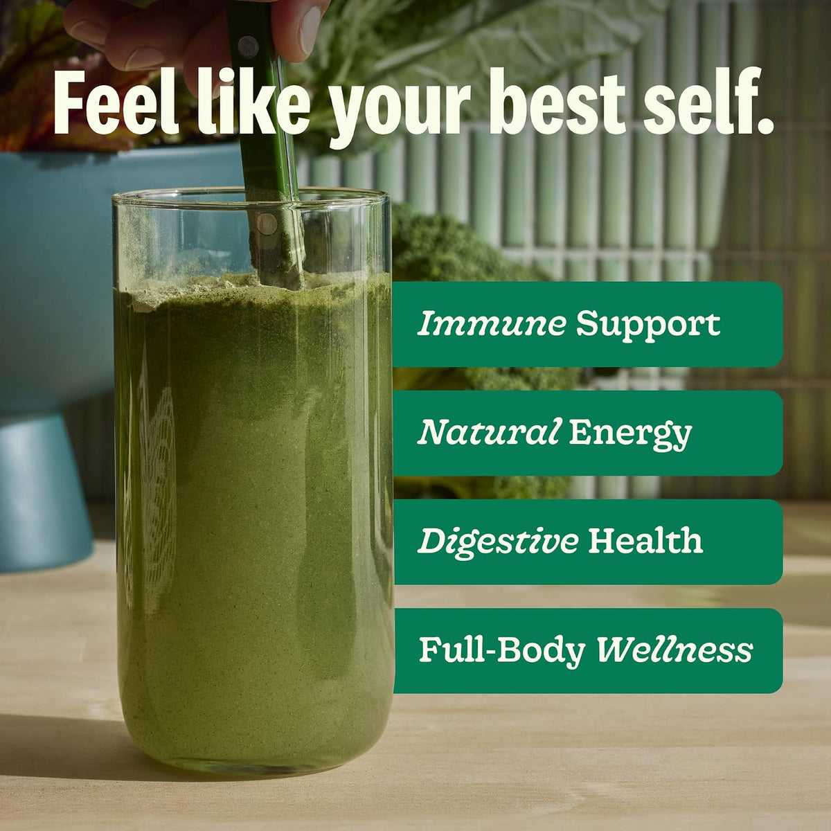 probiotic blend for gut health