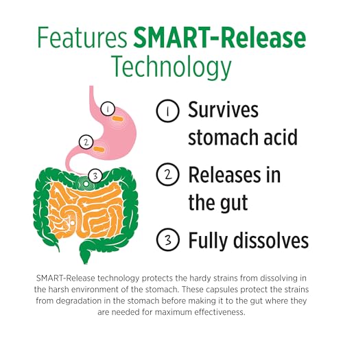 probiotic blend for optimal gut balance