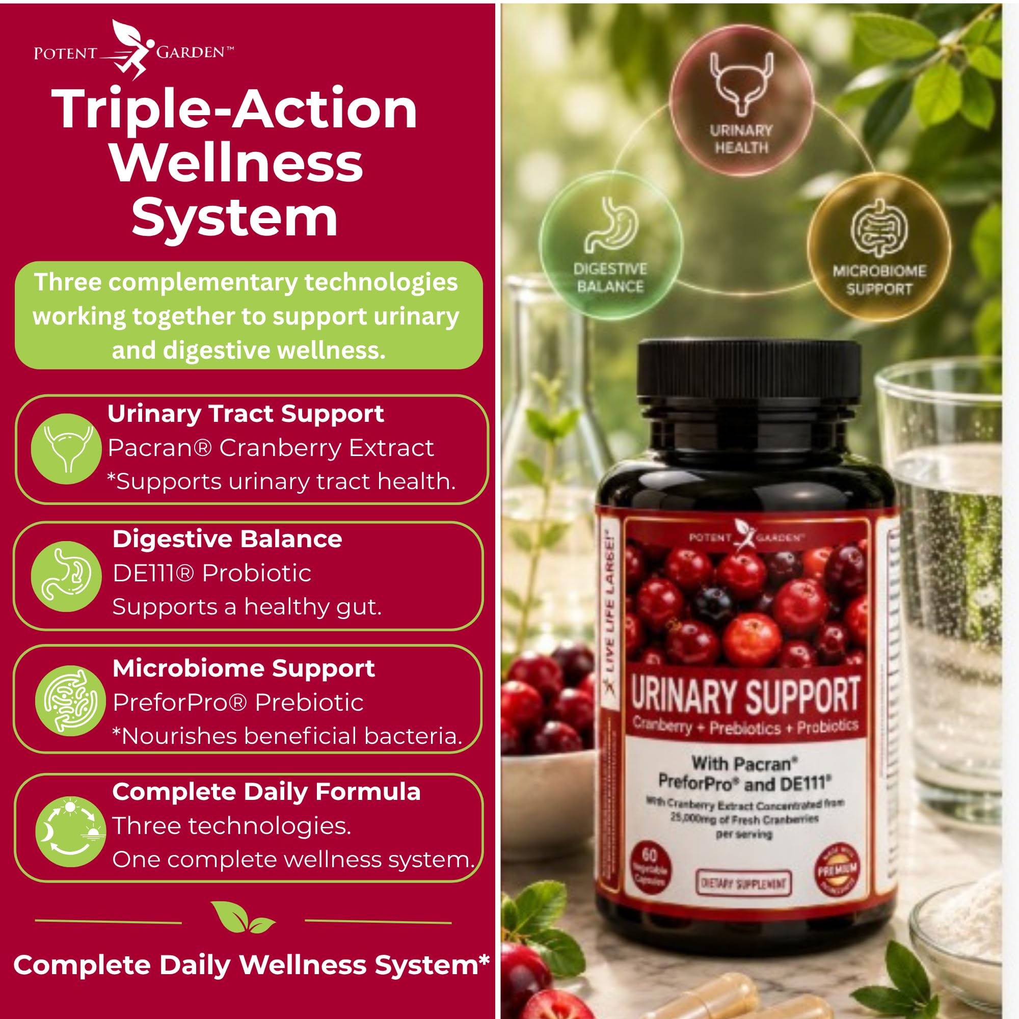 probiotic blend for urinary comfort