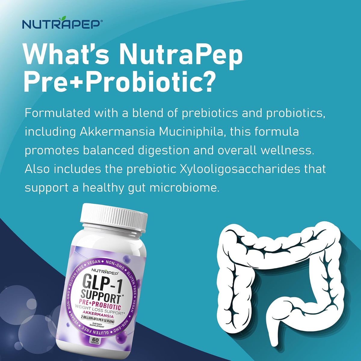 probiotic blend for weight loss