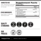 probiotic capsules for daily wellness