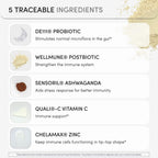 Probiotic capsules for daily wellness
