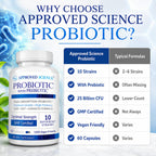 Probiotic capsules for daily wellness