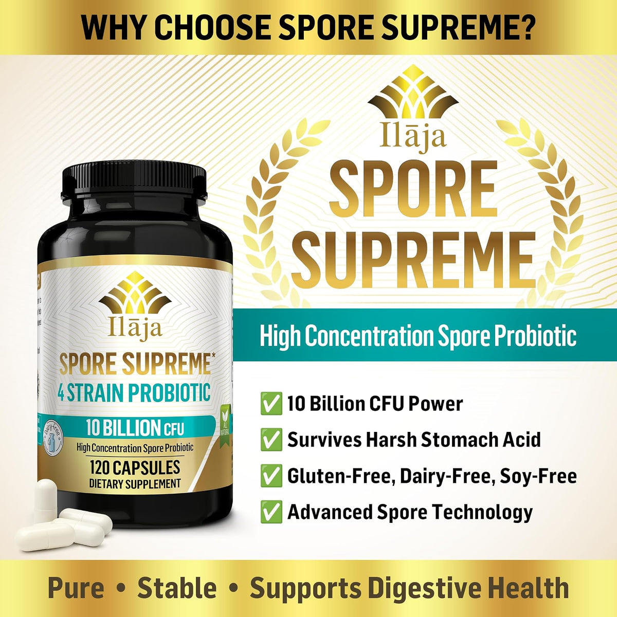 probiotic capsules for daily wellness