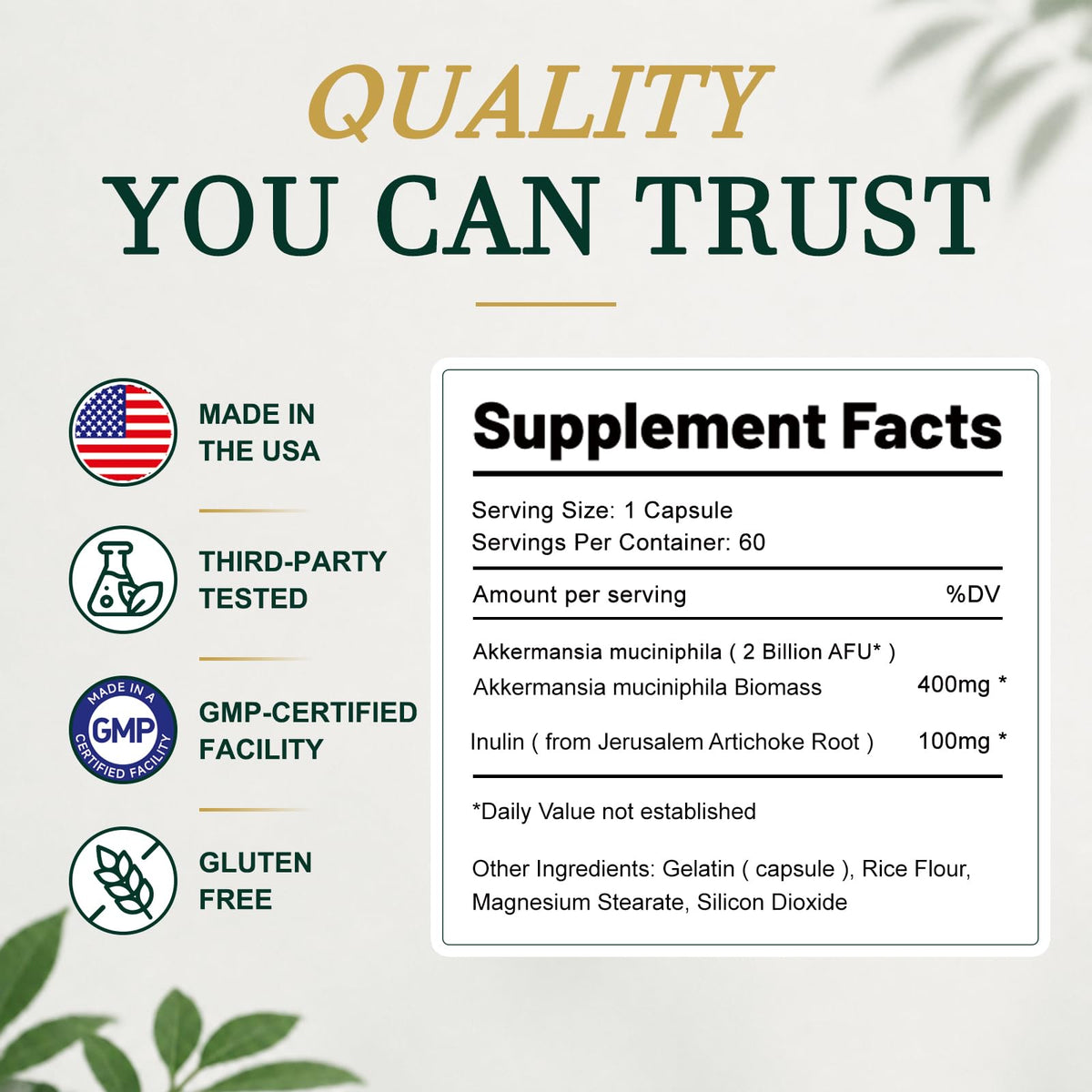 Probiotic capsules for overall health