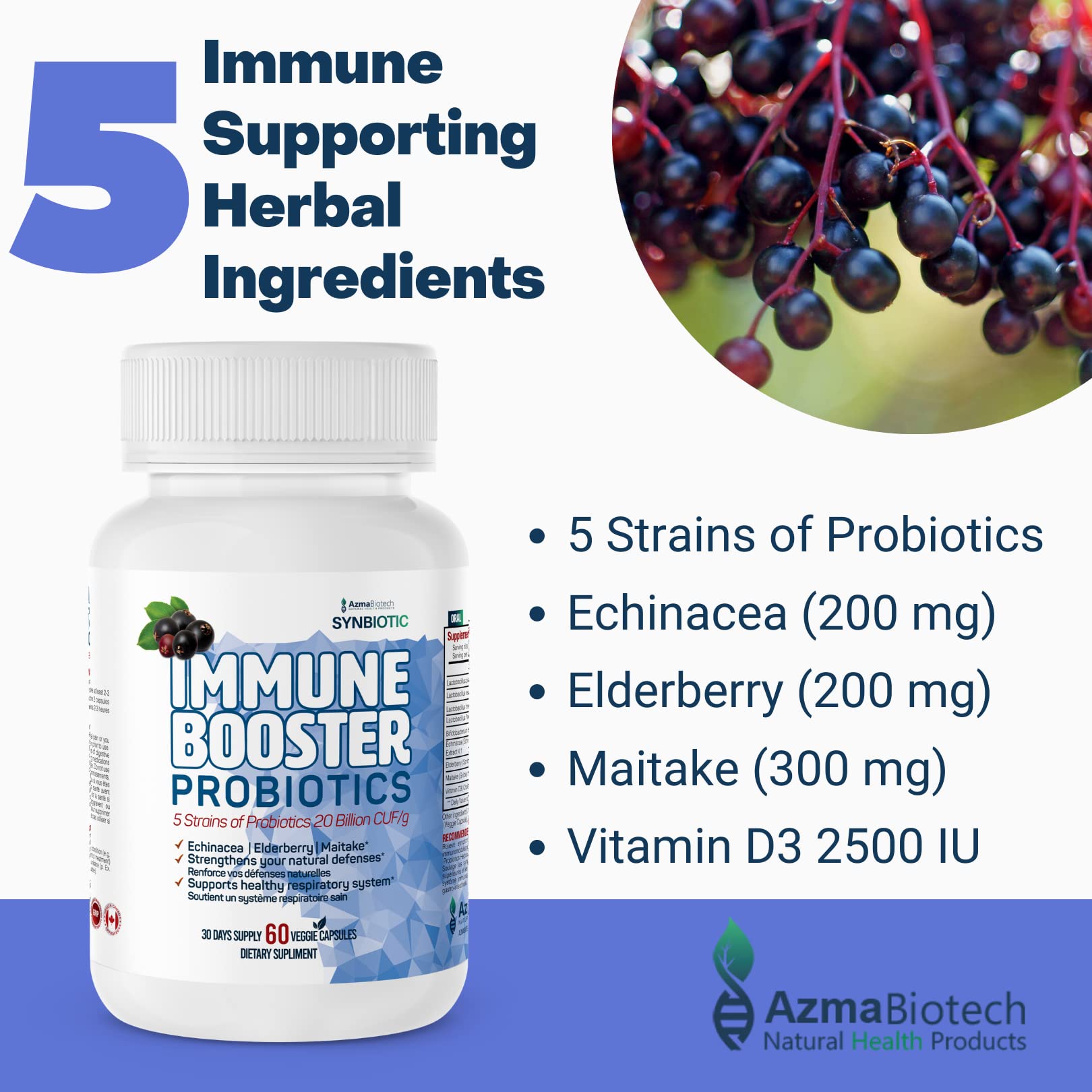 Probiotic capsules with elderberry extract