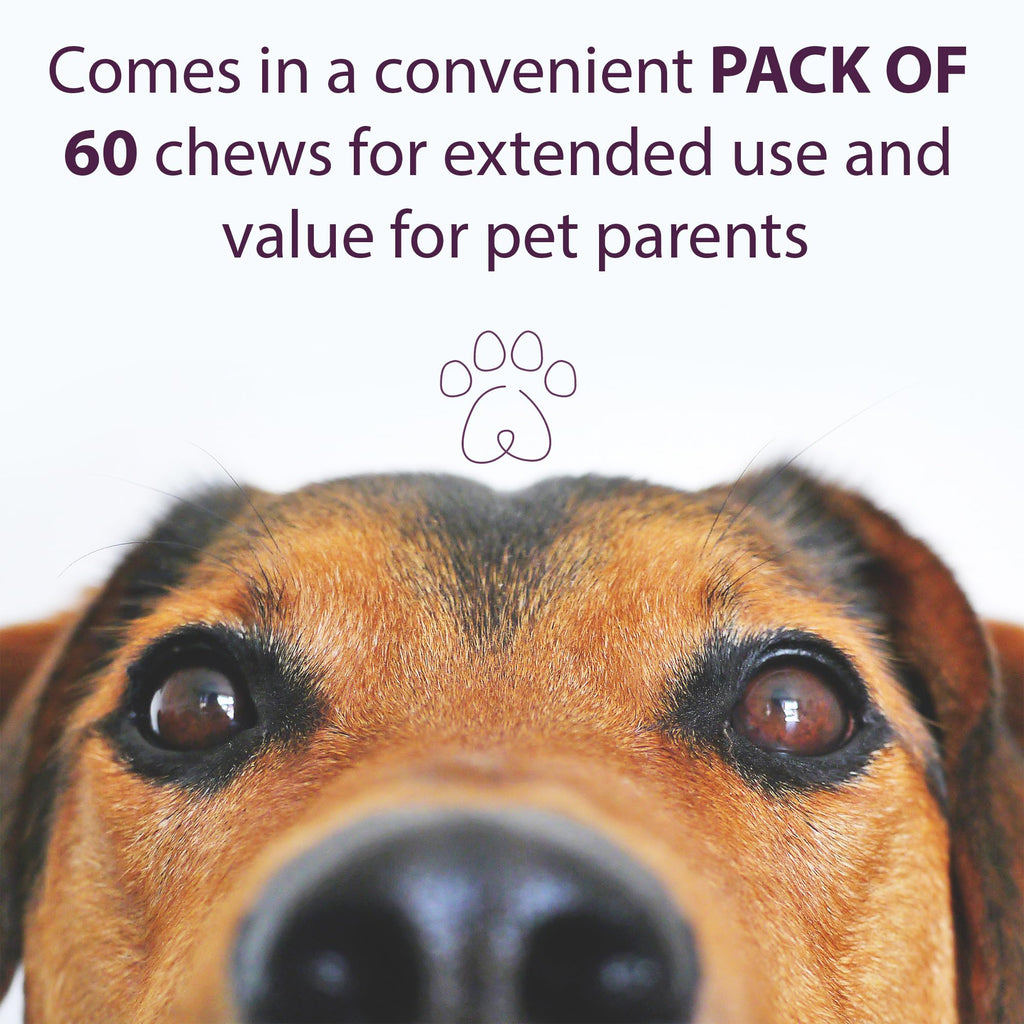 probiotic chews for healthy dogs
