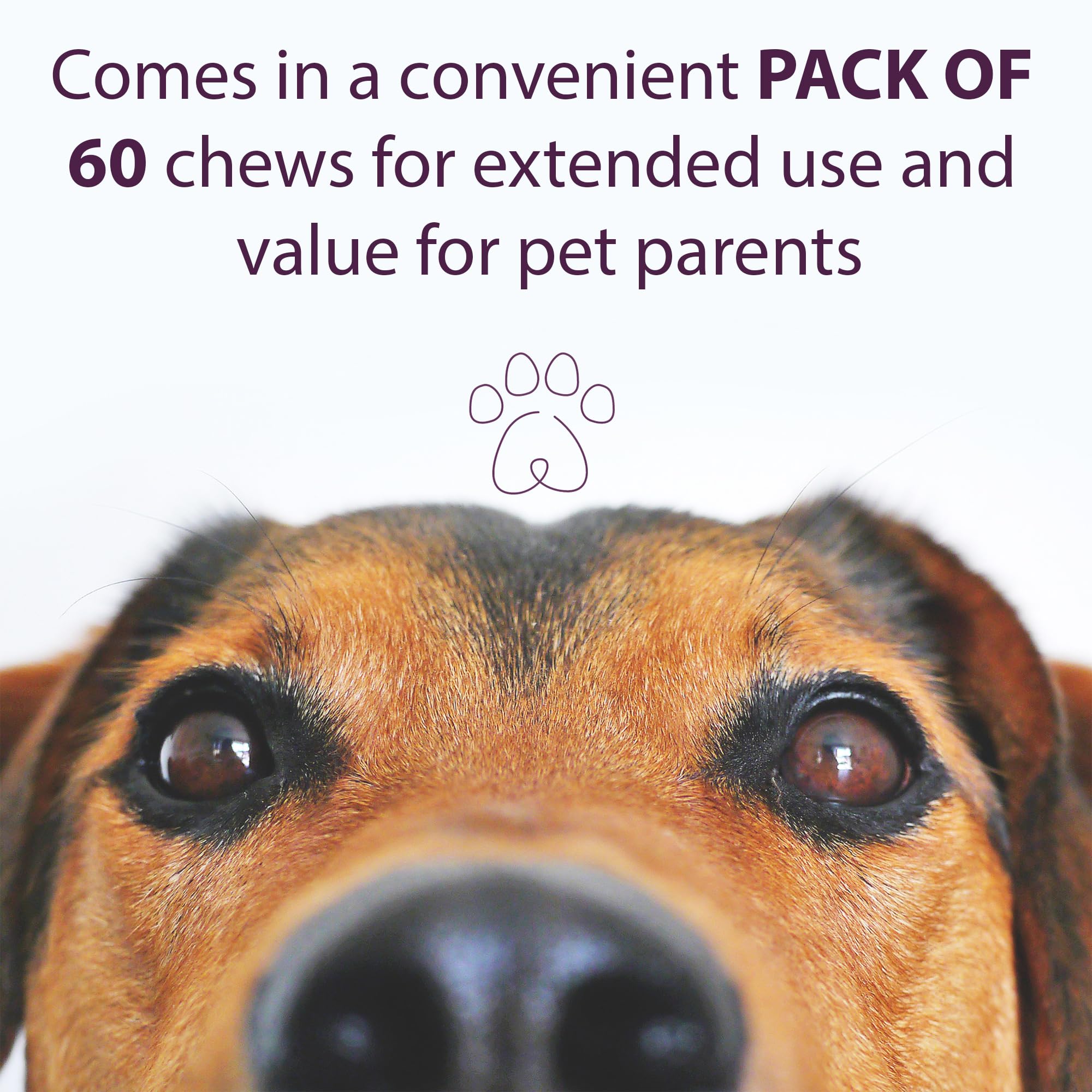probiotic chews for healthy dogs