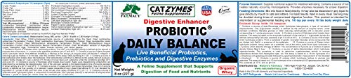 Probiotic Daily Balance 8 oz for wellness