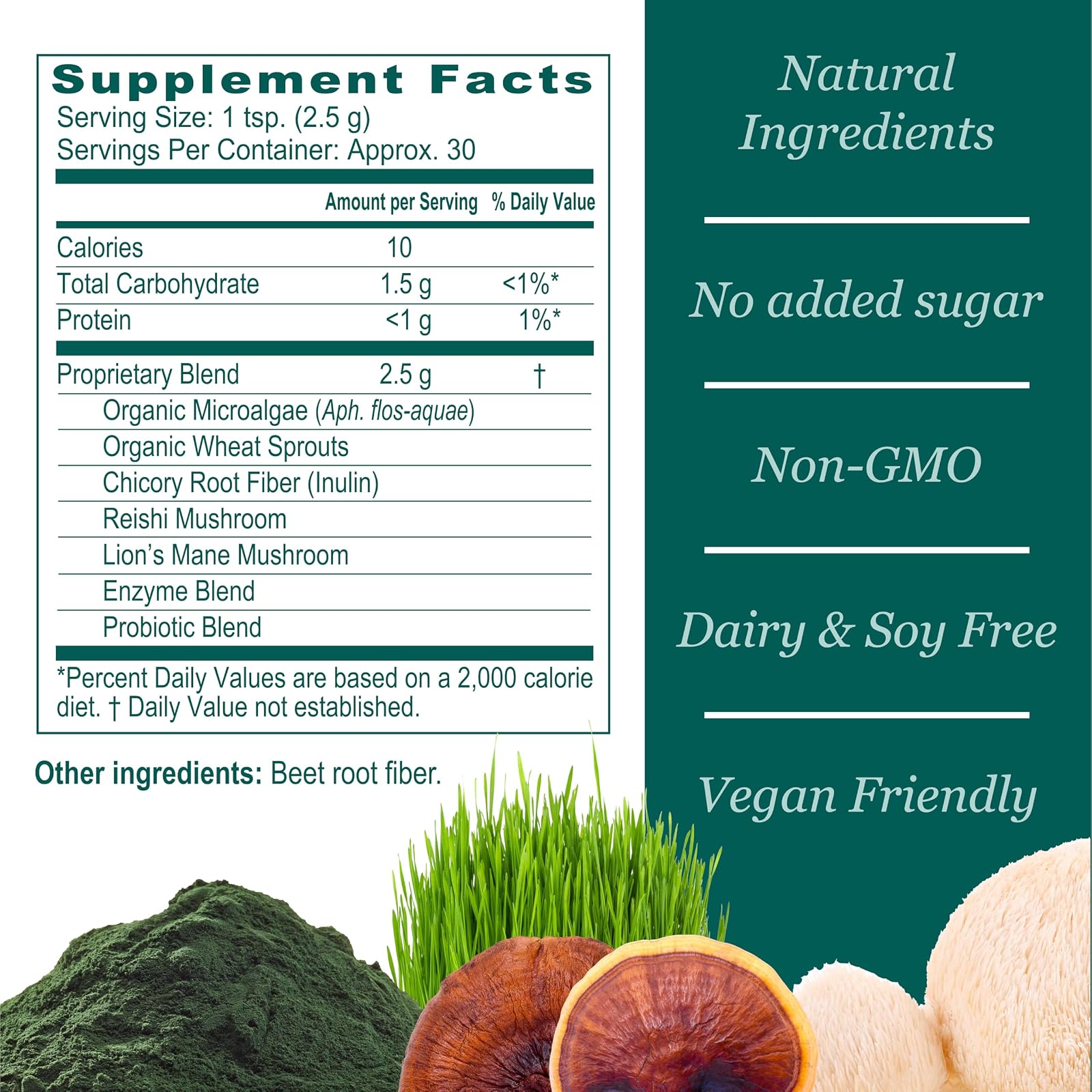 probiotic digestive enzyme supplement