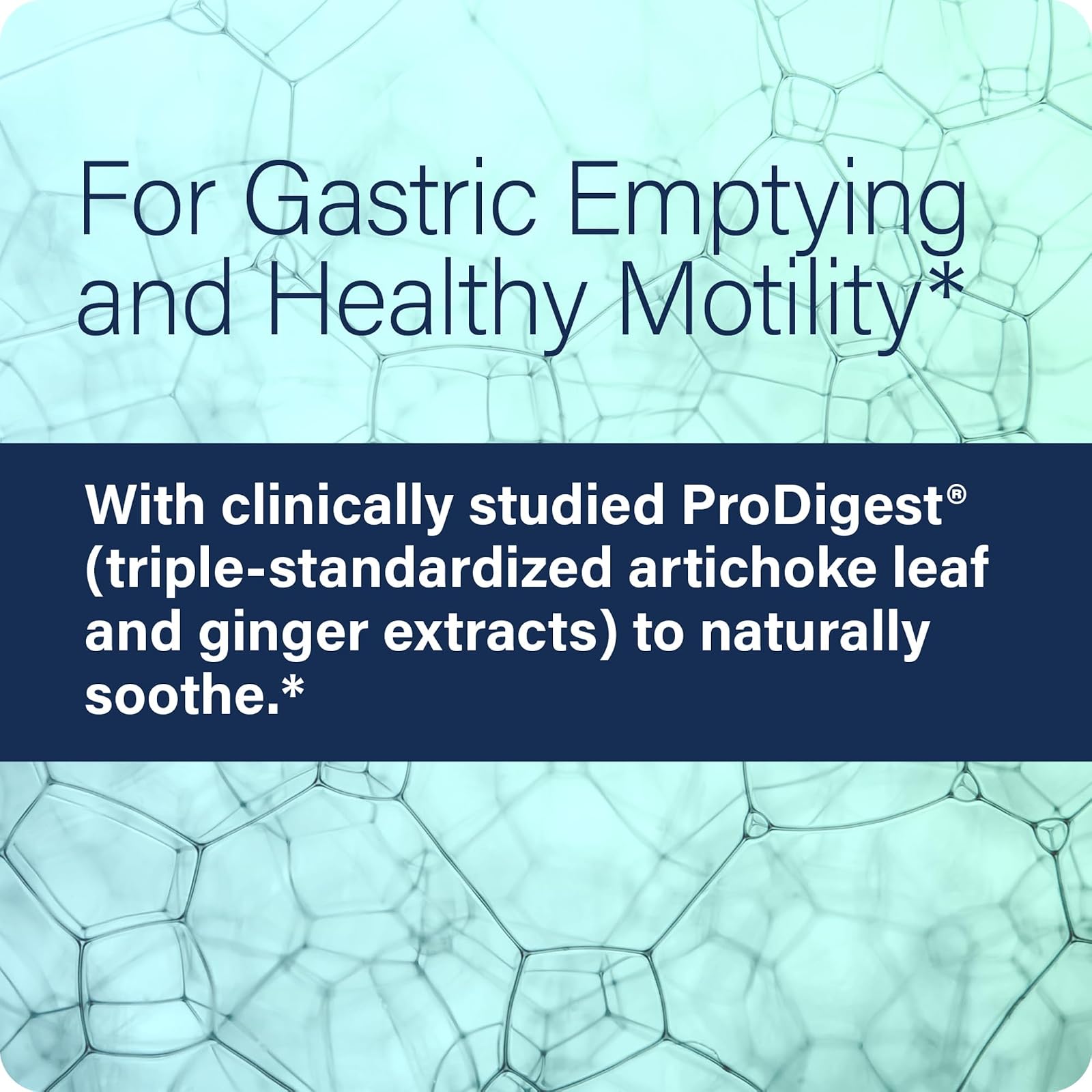 probiotic digestive enzymes capsules